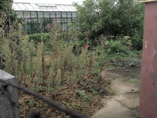 FOTO 6 Zdevastovan† botanick† zahrada.