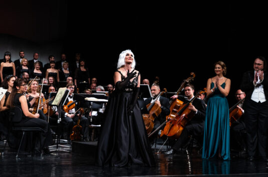 Operní galakoncert Slezského divadla: Překvapivá dramaturgie a solidní ...